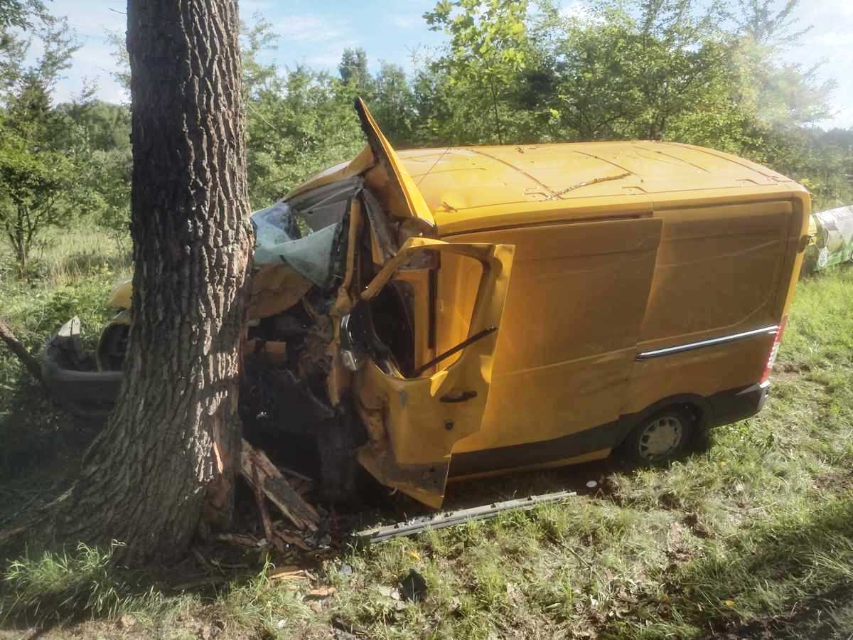 Bus uderzył w drzewo. Kierowca z obrażeniami trafił do szpitala - WYPADKI Bus uderzył w drzewo. Kierowca z obrażeniami trafił do szpitala - WYPADKI